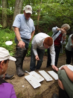WAVE Program, Improving Aquatic Habitats, Three Rivers WMA, Upcoming Exam