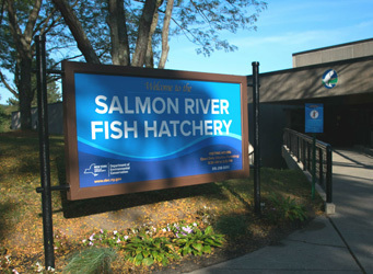 Freshwater Fishing and Boating News