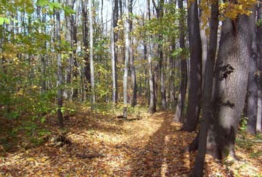 August Outdoor Discovery