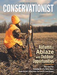 November Outdoor Discovery