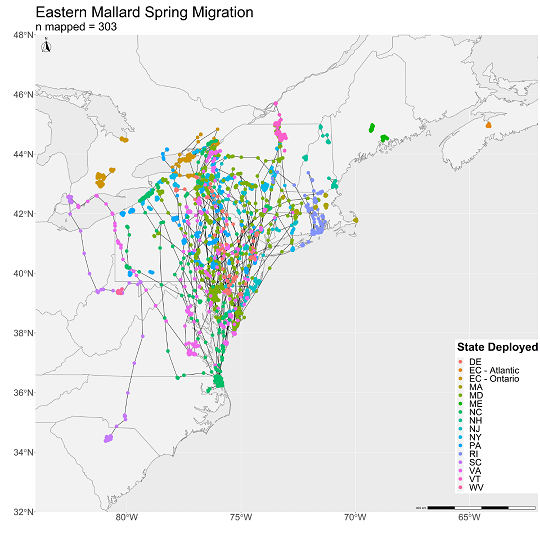 Hunting and Trapping Newsletter