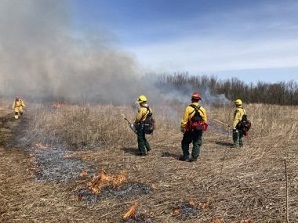 Wildlife, Fish, and Marine Life Newsletter