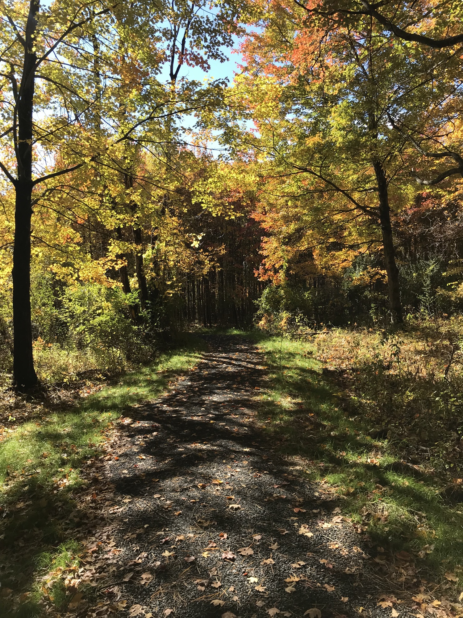 Five Rivers Environmental Education Center - Upcoming Programs