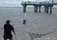 Hudson River Almanac 10/19/22 - 10/28/22