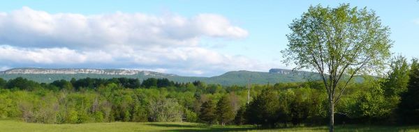 Conserving Natural Areas in the Hudson River Valley: 2022 Highlights