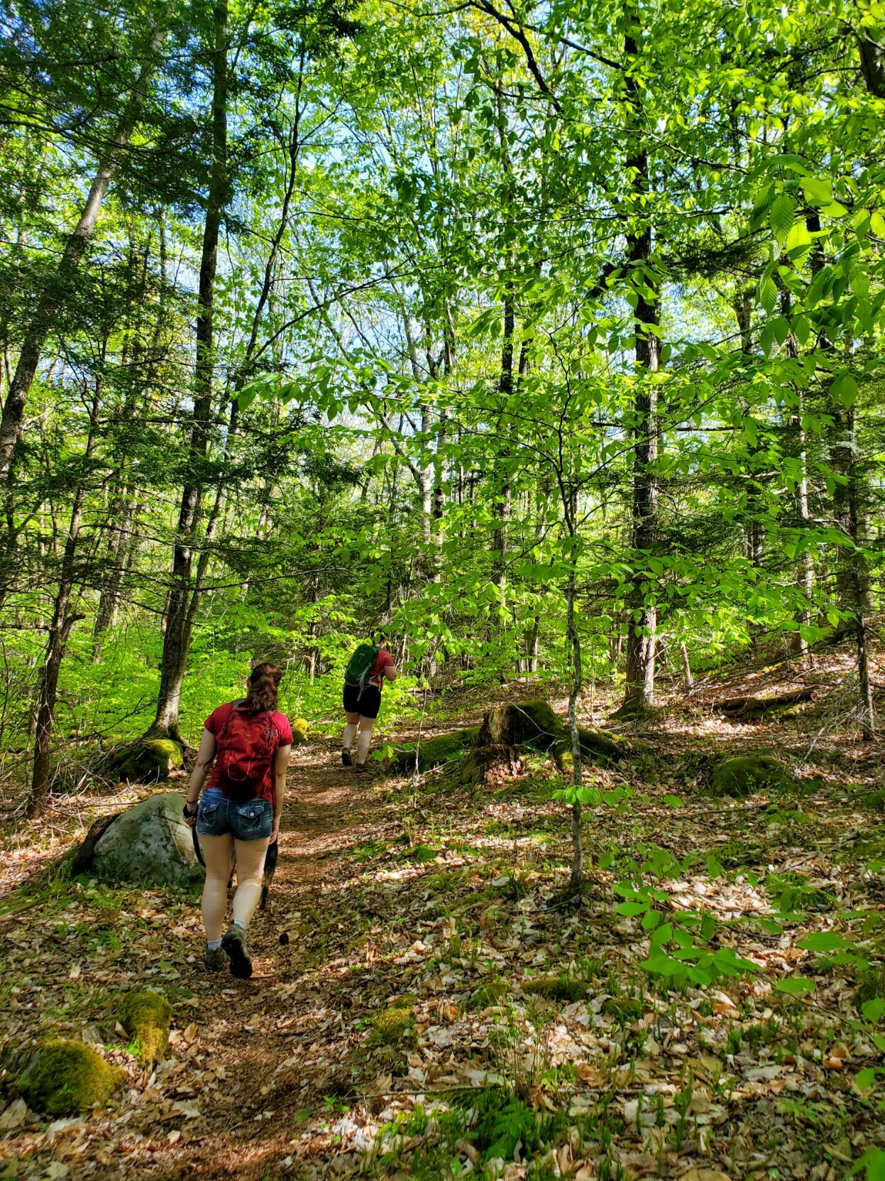 September's Forests, Plants & Land Conservation News