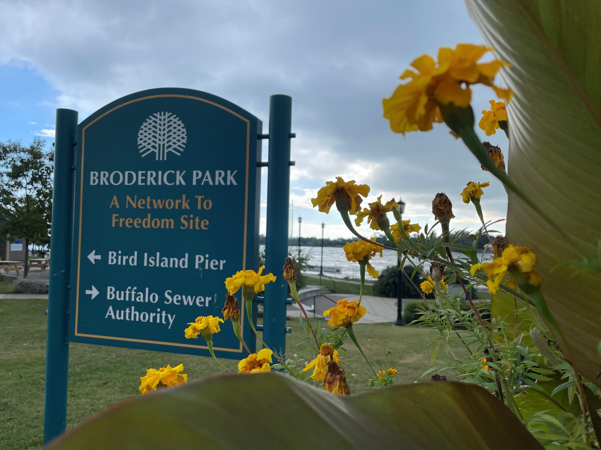 Environmental News and Events for Allegany, Chautauqua, Cattaraugus ...