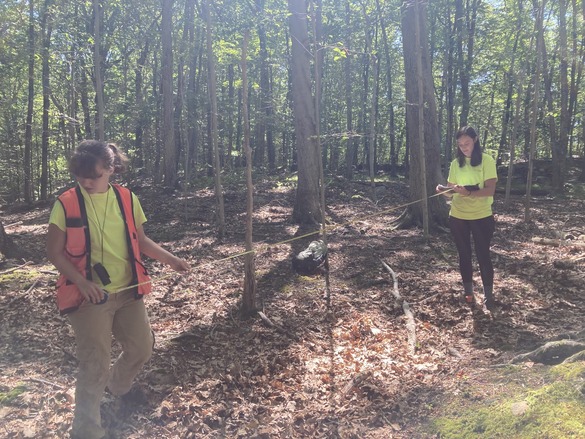 February Invasive Species News - 2023 Forest Health Highlights