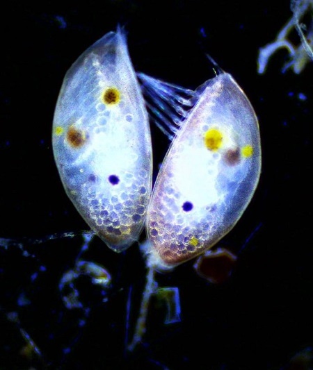 March 1 to March 8, 2024 - Hudson River National Estuarine Research Reserve