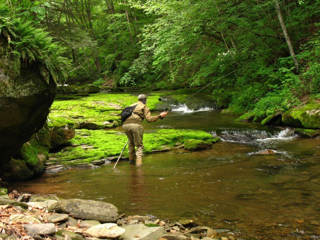 The Fishing Line - May 24th Issue