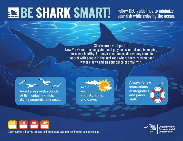 Wildlife, Fish, and Marine Life Newsletter