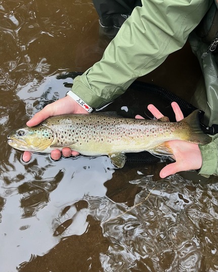 The Fishing Line - March 21st Issue