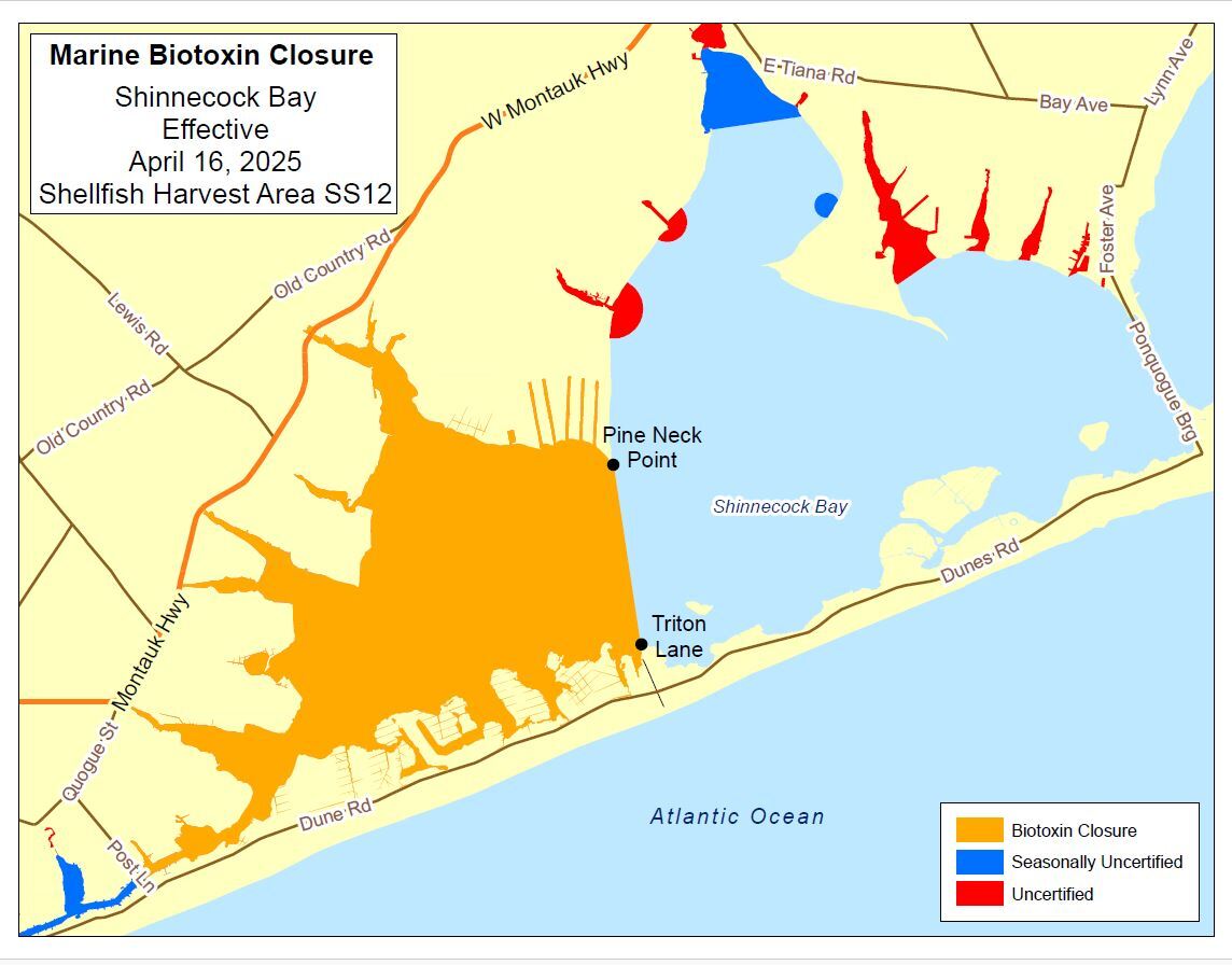 Shellfishing Newsletter