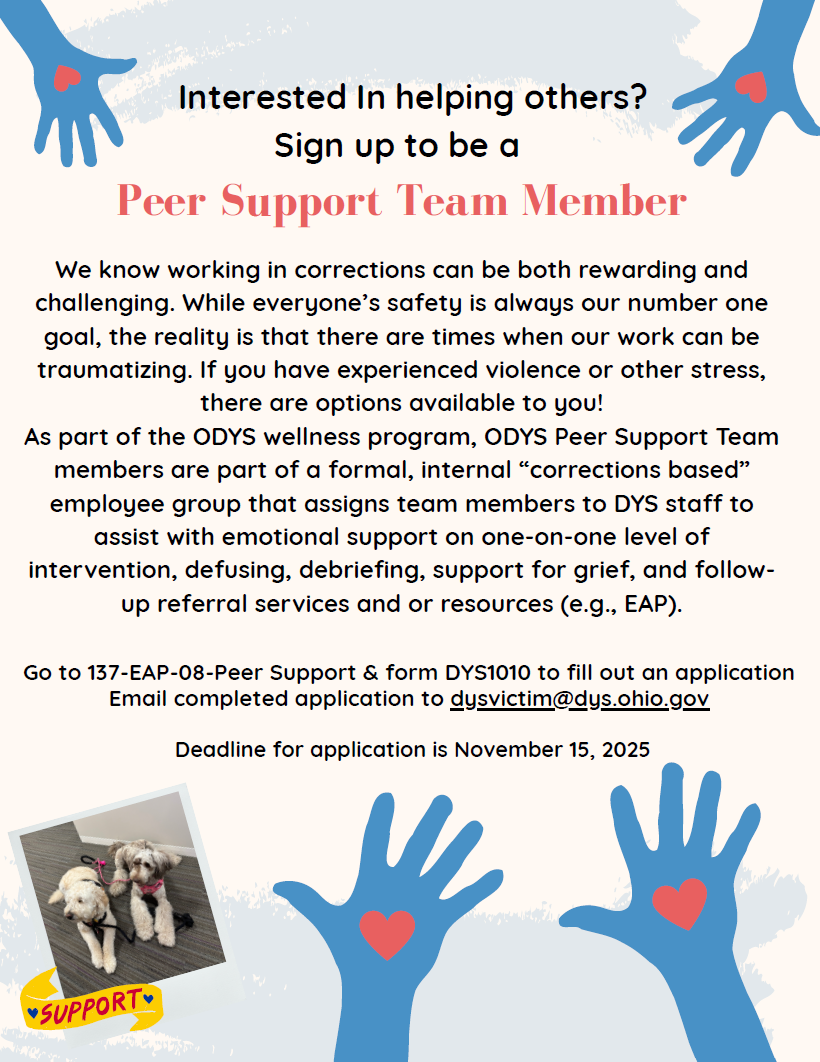 Apply Today as a Peer Support Team Member!