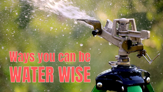 Water consumption: How water wise are you?