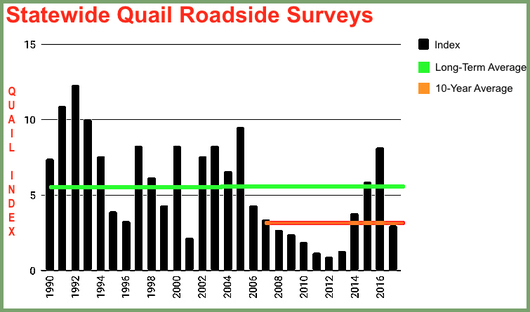 News: Quail Numbers Back to 10-Year Average in Much of State