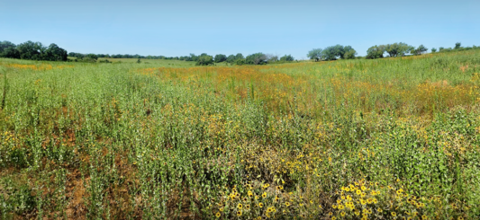 News: OLAP Seeks Landowners for Walk-In Access Program