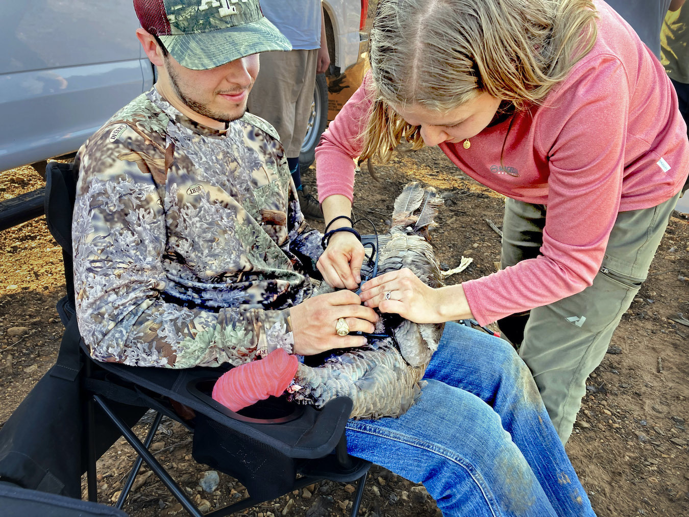 Upland Update: Turkey Trapping to Begin in Two Research Areas