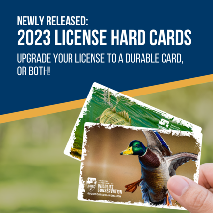 2023 Brings New Collectible Licenses; Plus More!