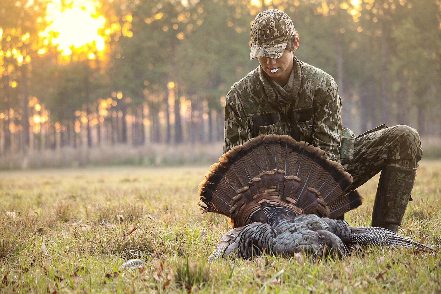 Gobbler Report: Turkey Numbers Reported “Steady” Ahead of April 16 ...
