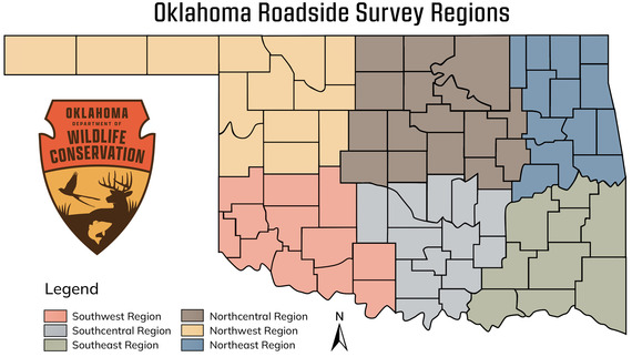 Upland Update: 2023 Quail Season Outlook