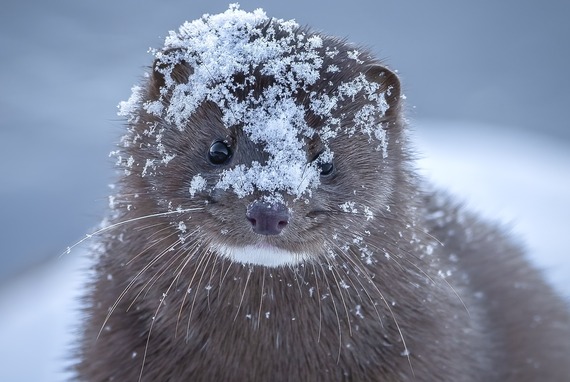 Conservation Highlights from 2023