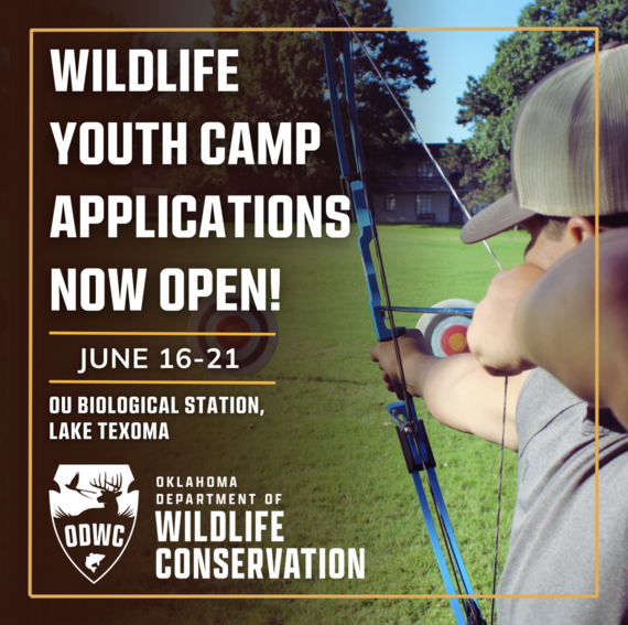 Explore Your Future in Wildlife Management at the Oklahoma Wildlife ...