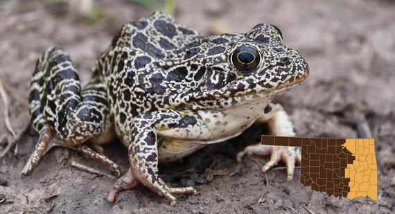 Your Conservation Dollars at Work