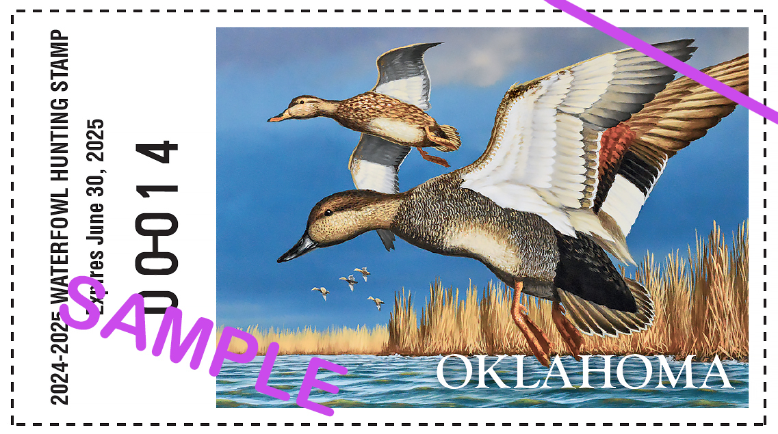 Calling All Artists! State's Waterfowl Stamp Art Contest Seeks Entries