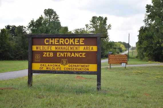 Learn to Shoot and Trap at Cherokee WMA