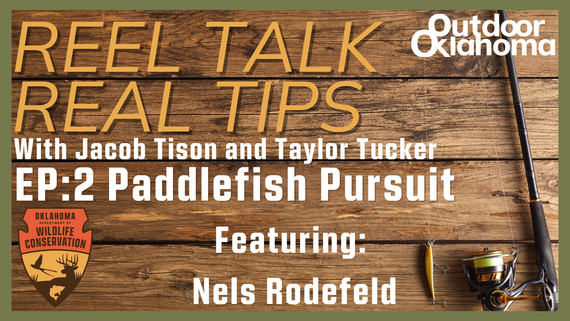 February Fishing Frenzy