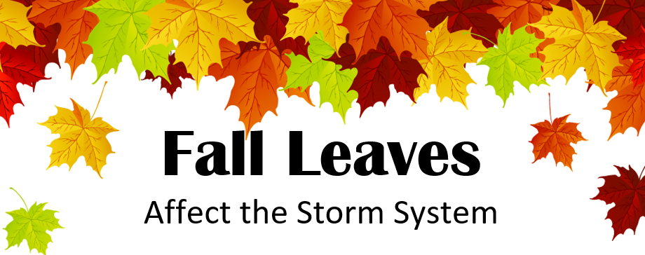 Friday Update - October 24, 2025