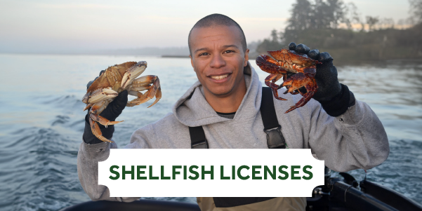 🔔🎶Jingle bell time is a swell time…