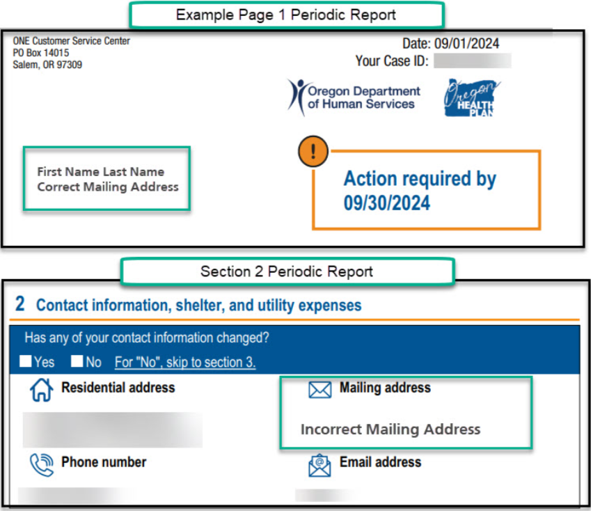 Periodic Reports Include Incorrect Mailing Addresses