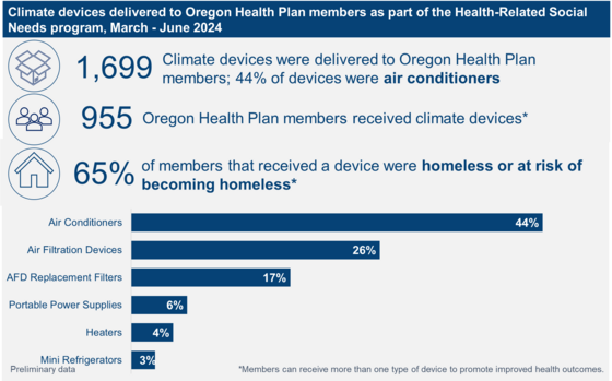 Oregon's 1115 Medicaid Waiver Newsletter - October 29, 2024