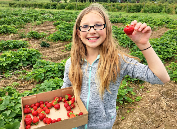 Guidance for U-Pick Operations During COVID-19