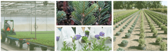 2024 Nursery Research Grant Program Request for Proposals