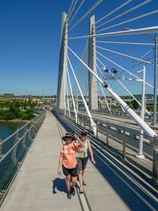 Sunday Parkways returns to the Green Loop 🐦🌹💚 Dreams of Green