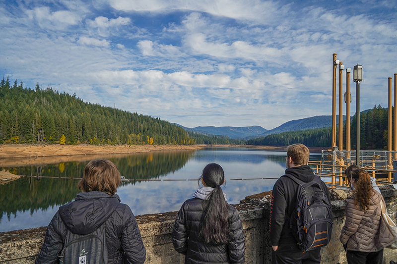 Repairing our streets | Pools opening | Off-leash dogs