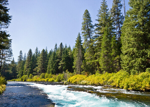 The Hydraulic Connection: June 2023