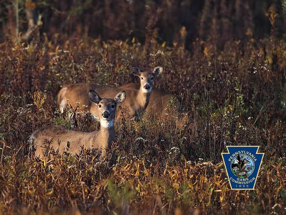 Don’t Forget to Report on Your DMAP Permit!