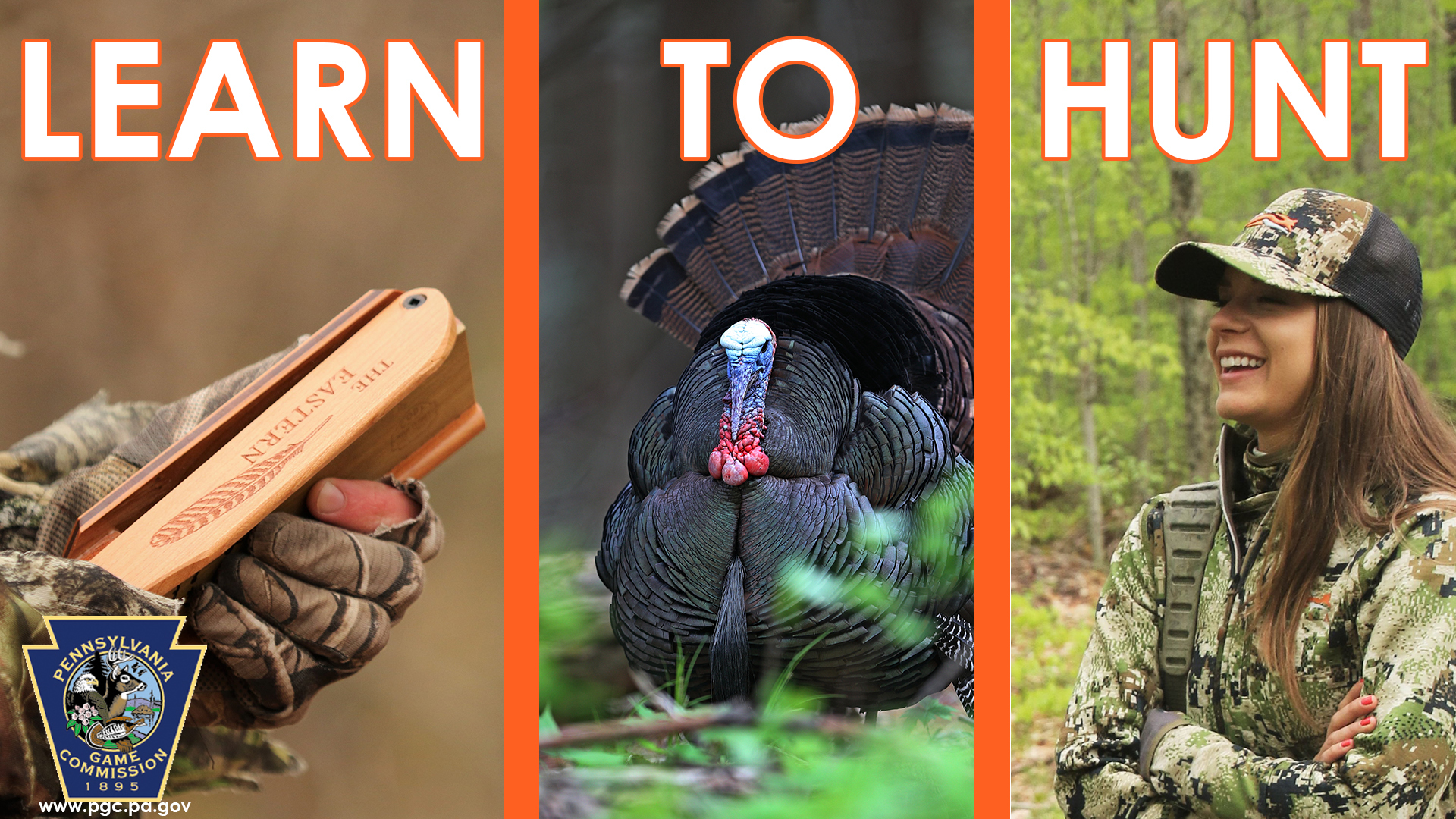 Learn to Hunt Follow-up