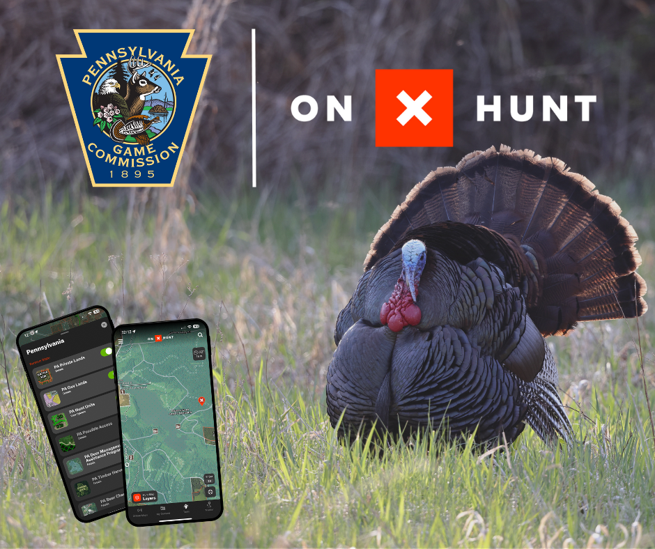 Calling all Turkey Hunters 🦃