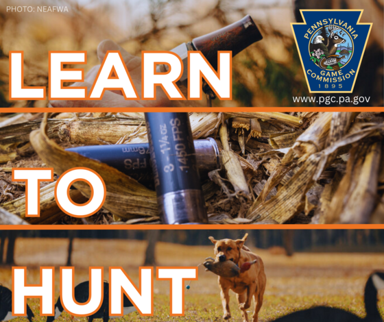 NEW Learn To Hunt Program