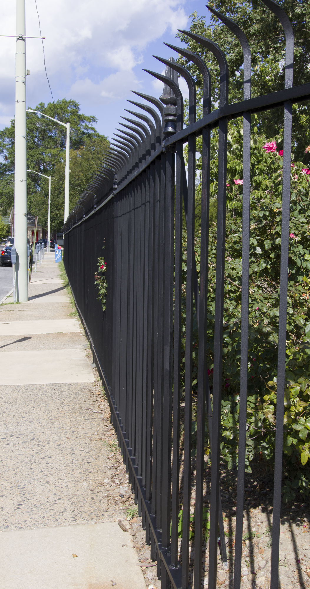 Lower Merion Township September 2025 E-Newsletter