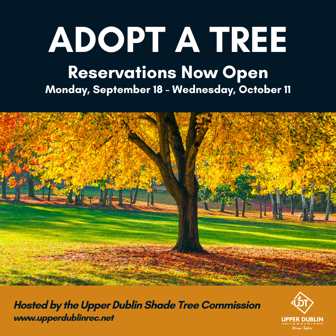 Adopt a Tree Event - Online Reservation Now Available