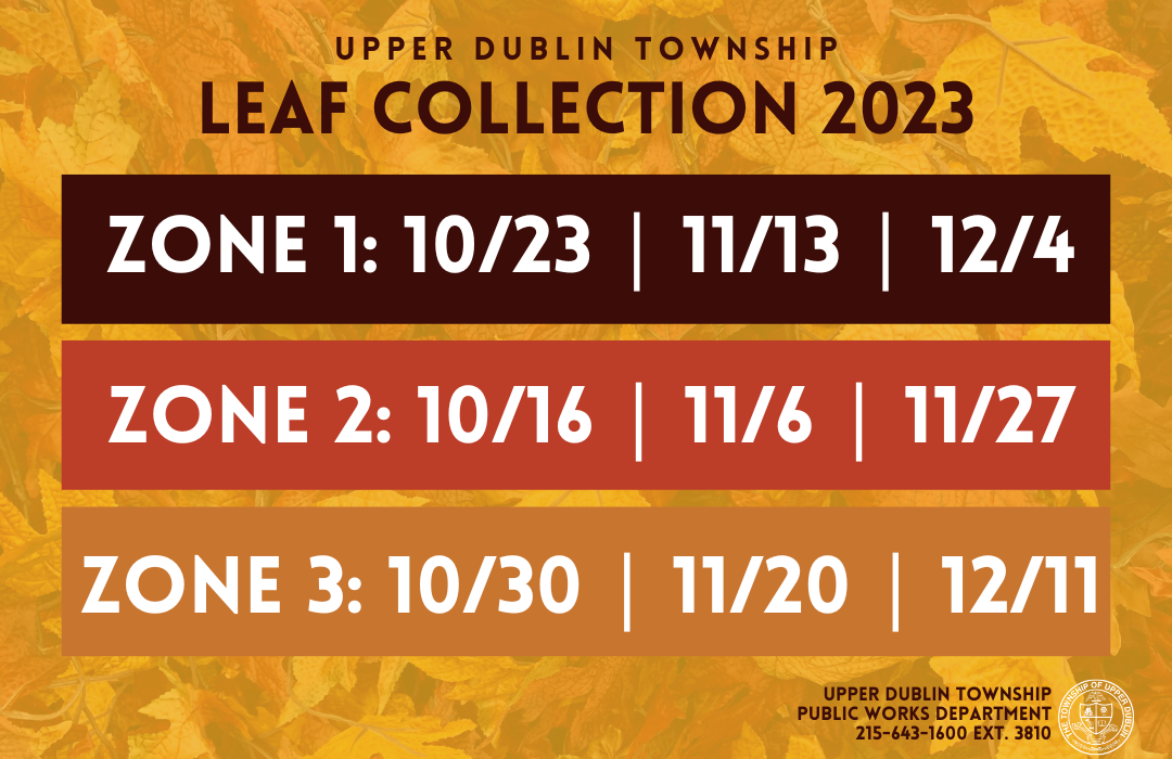 Leaf Collection 2023