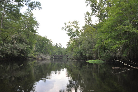 Local stakeholders sought to guide water planning in South Carolina's ...