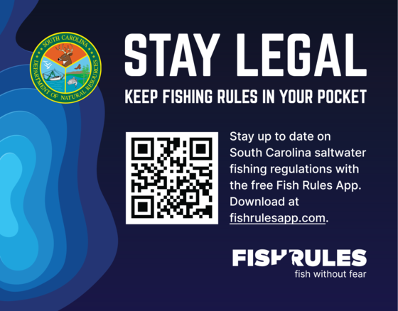 March 2022 Newsletter