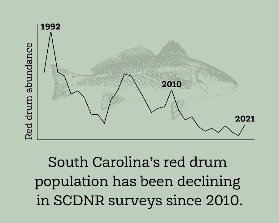 SCDNR MGFTP November 2022 Newsletter